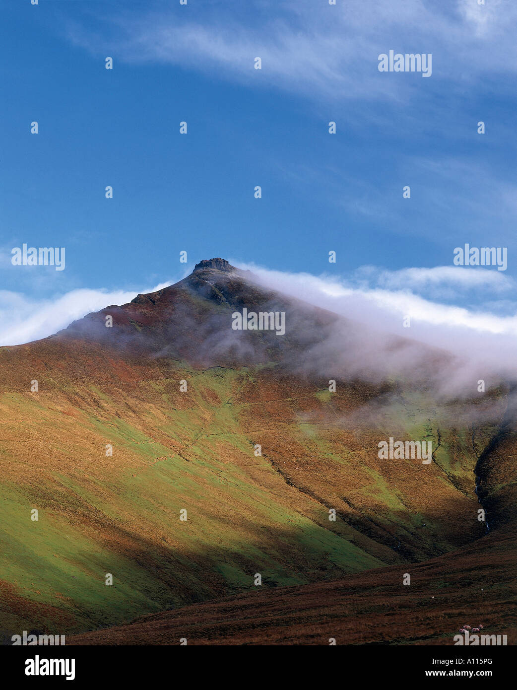 The Slieve Mish Mountain Range with Mount Baurtregaum Stock Photo - Alamy