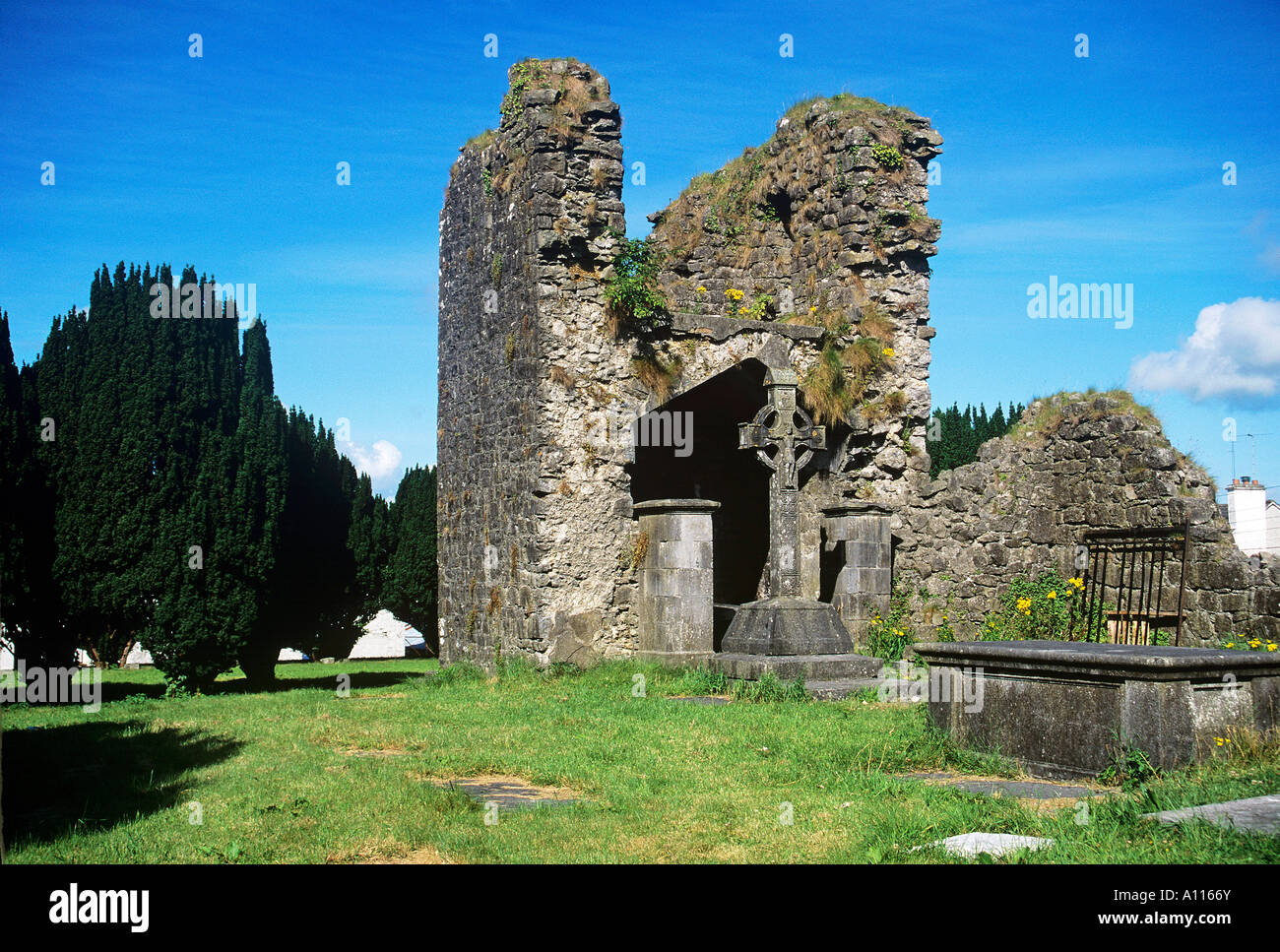 The ruins of Temple Jarlath Church in the town of Tuam Stock Photo - Alamy
