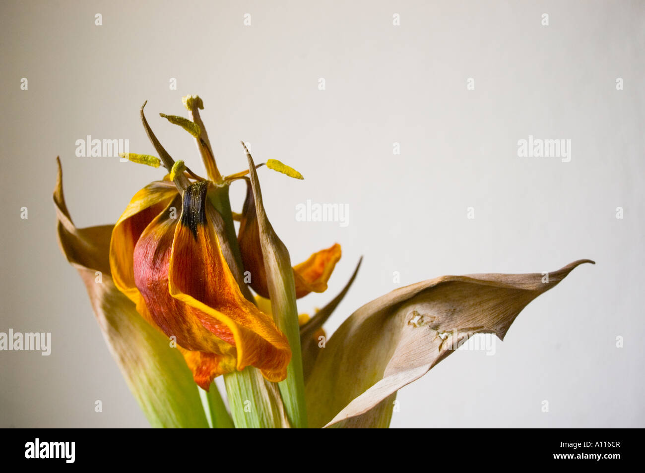 Troubling feelings hi-res stock photography and images - Alamy