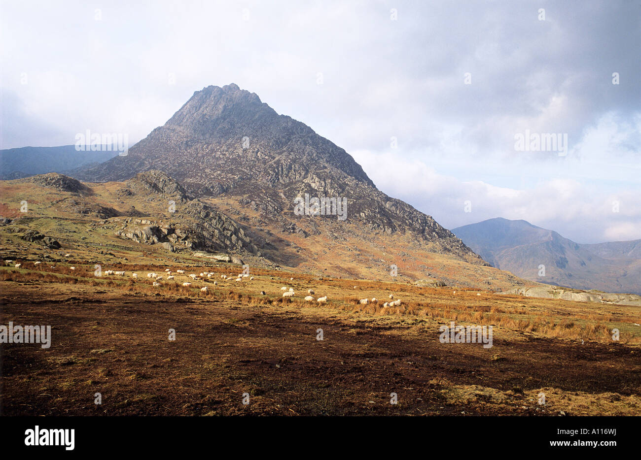Mount Tryfan from Ogwen valley part of the Snowdonia National Park ...