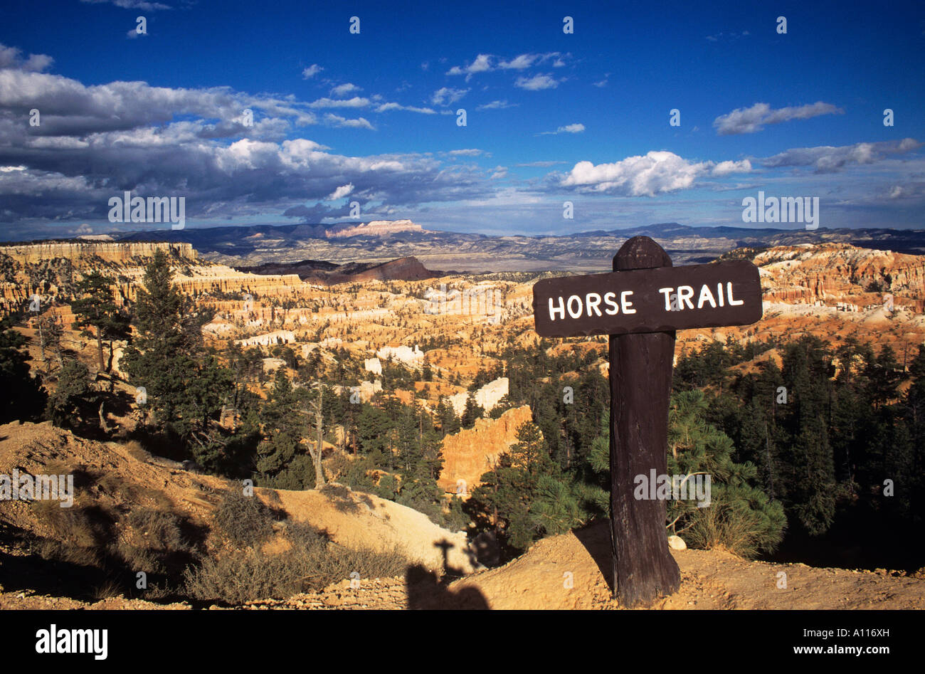 Detail of a sign indicating a horse trail set high on an outcrop above ...