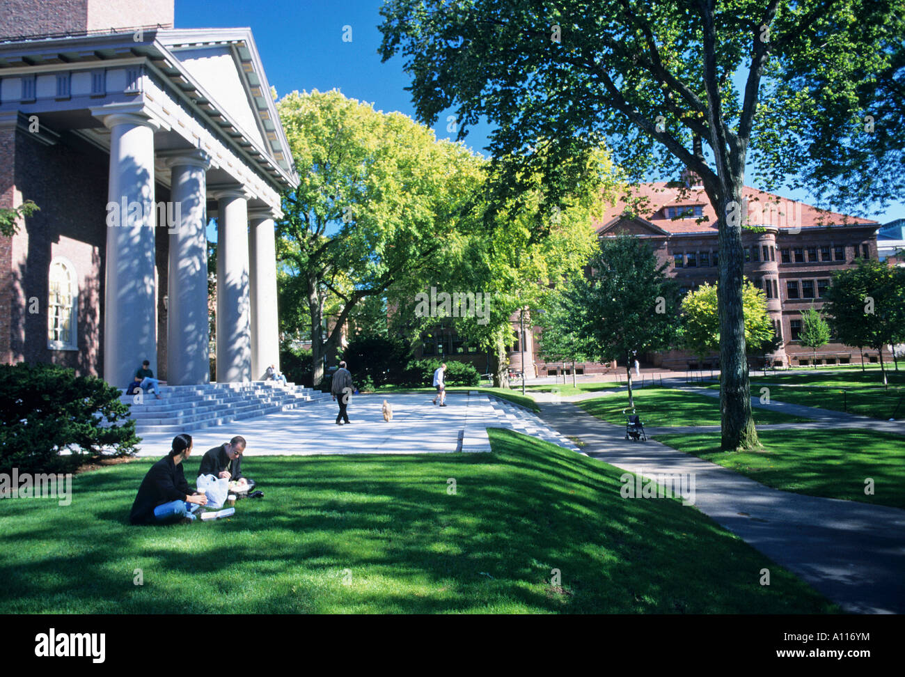 Widener library hi-res stock photography and images - Alamy