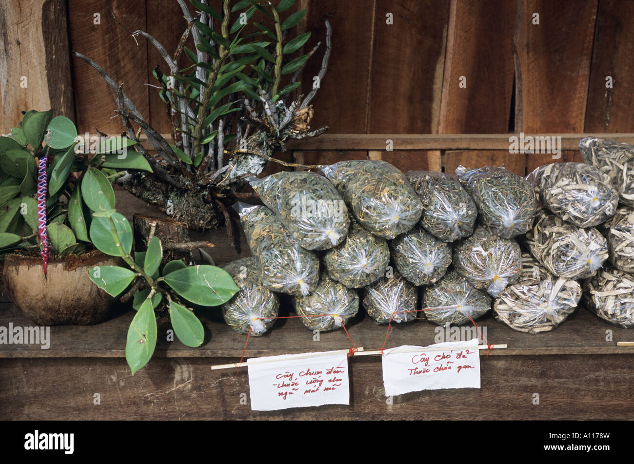 Local medicines and plants for sale at Ban Don village Stock Photo - Alamy