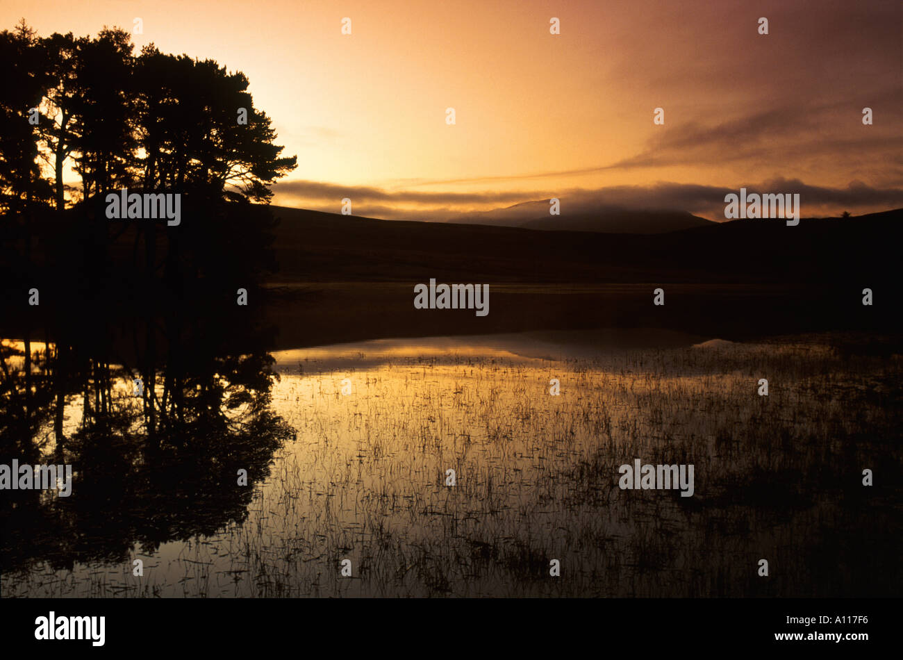 Loch Morag Highlands Scotland UK Stock Photo - Alamy