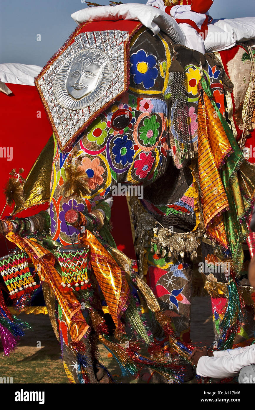 Elephants painted and decorated, Elephant Festival, Chaugan Stadium ...