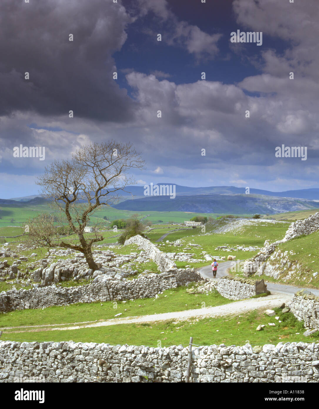 yorkshire dales windskill moors Stock Photo - Alamy