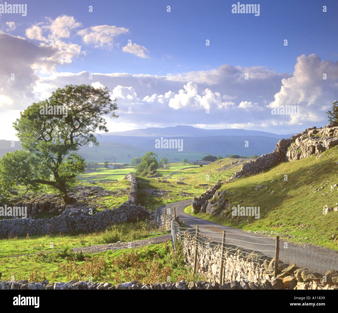 yorkshire dales windskill Stock Photo - Alamy