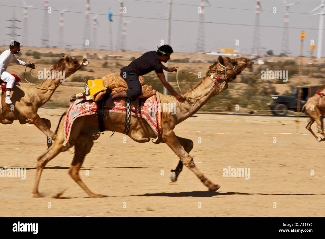 Camel Race, Desert Festival, Jaisalmer, Rajasthan, India, Asia Stock ...