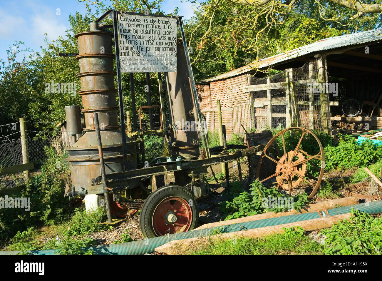 Burrow Hill Farm Somerset UK Julian Temperley Traditional cider apple ...