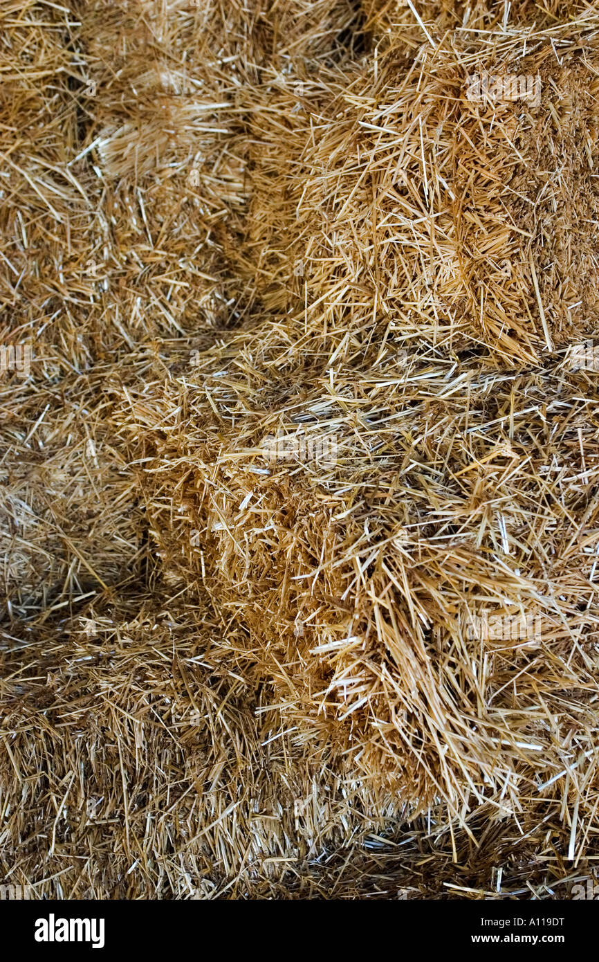 Greg straw hi-res stock photography and images - Alamy