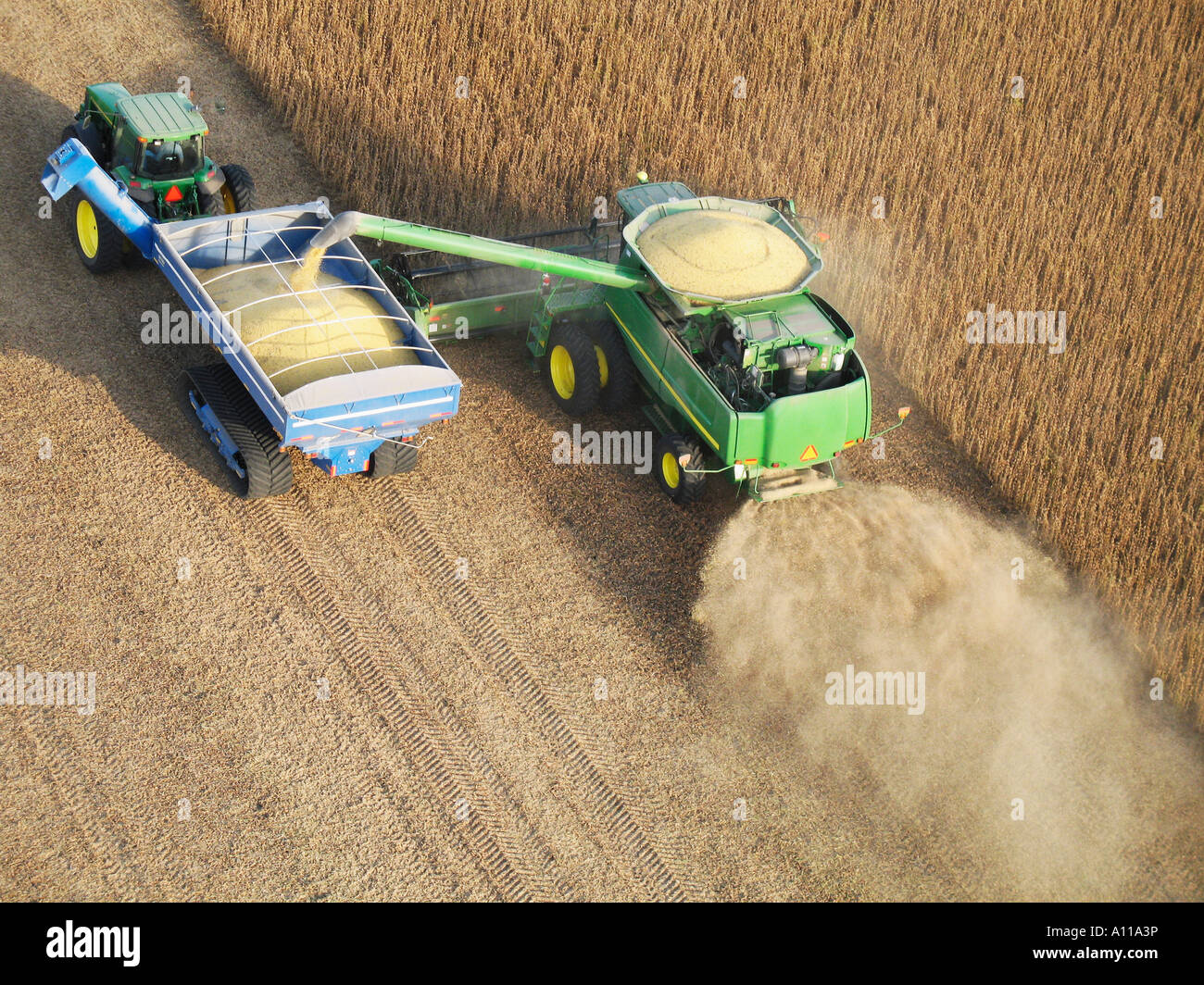 Farmer combining soybeans Stock Photo - Alamy
