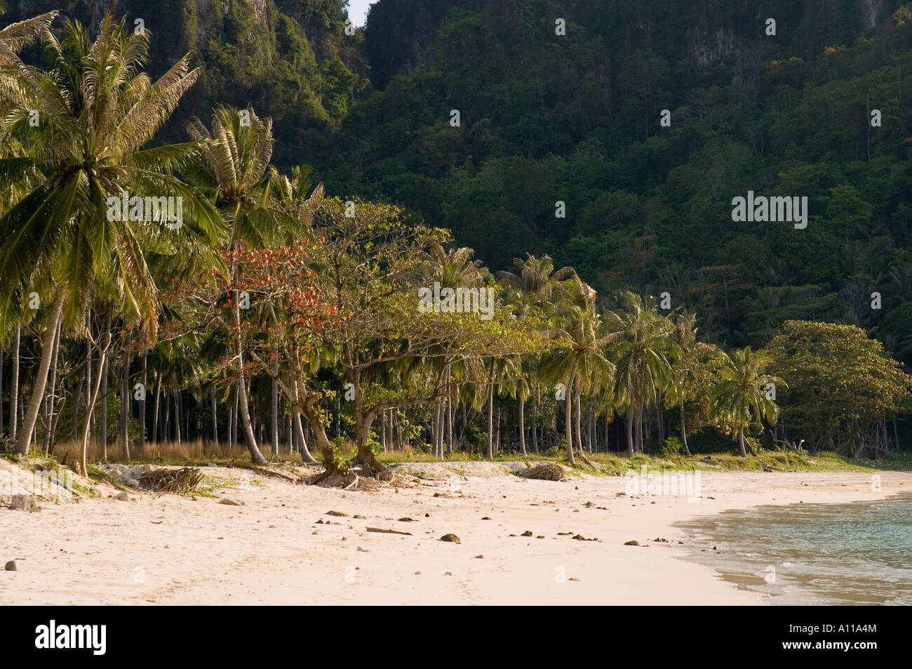 Thailand Phi Phi Don Island Lanah bay Stock Photo - Alamy
