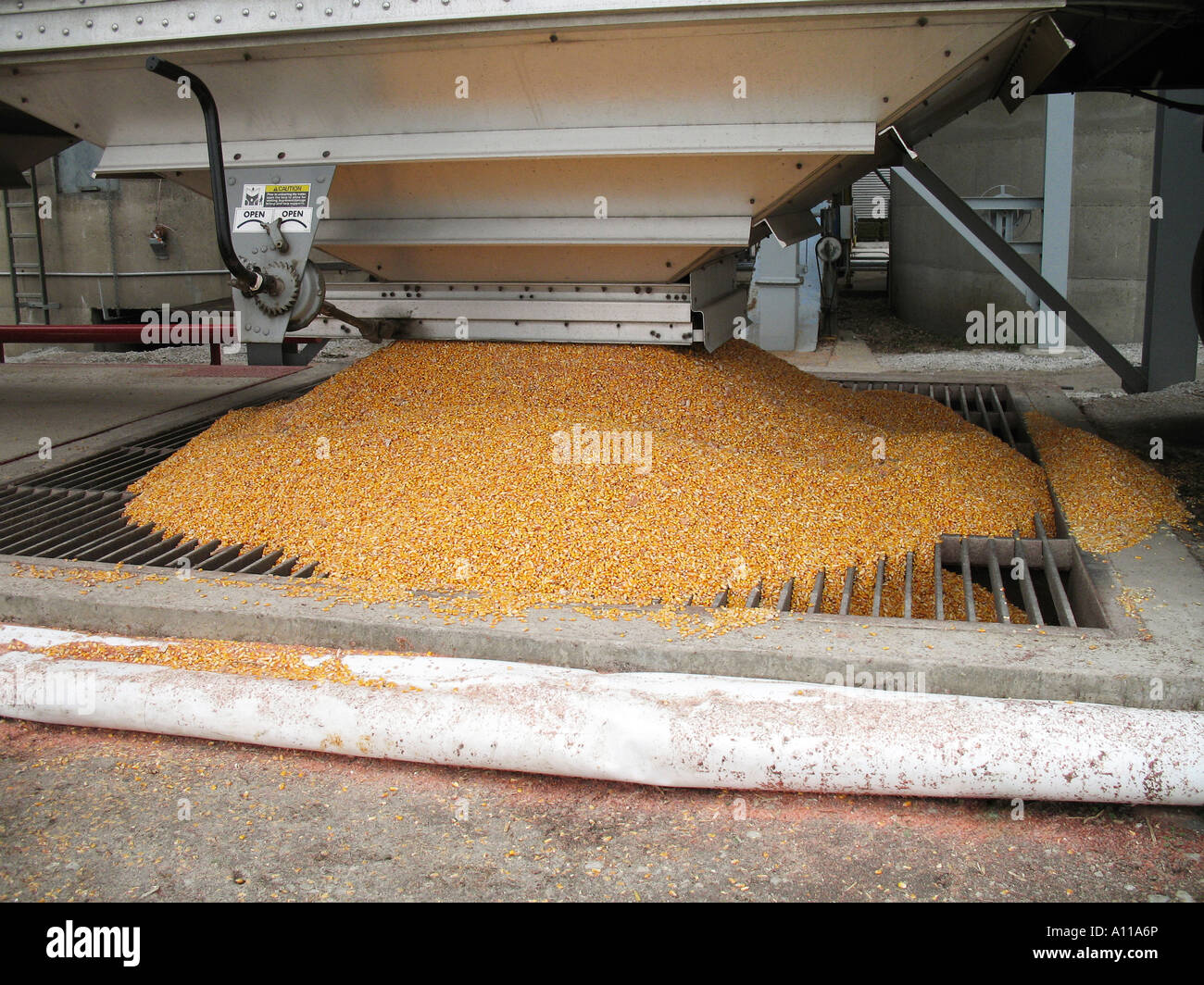 Semi unloading seed corn at grain elevator Stock Photo - Alamy