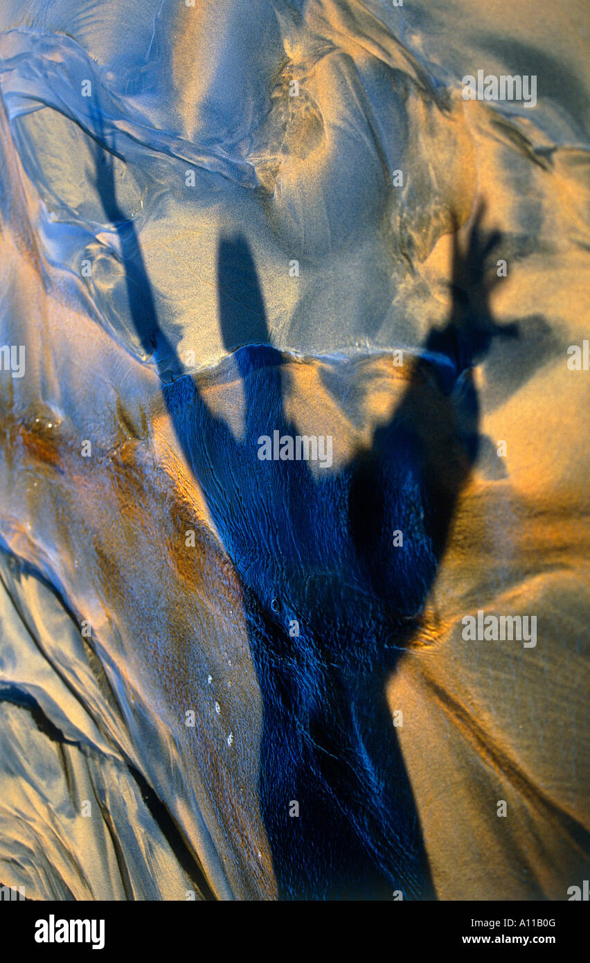 Distorted figure hi-res stock photography and images - Alamy