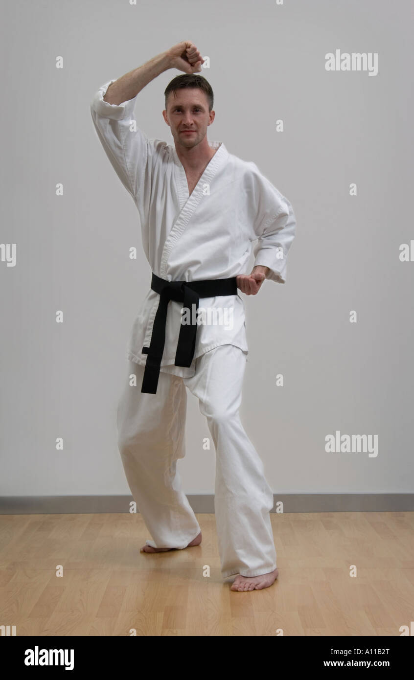 Man practicing martial arts Stock Photo - Alamy