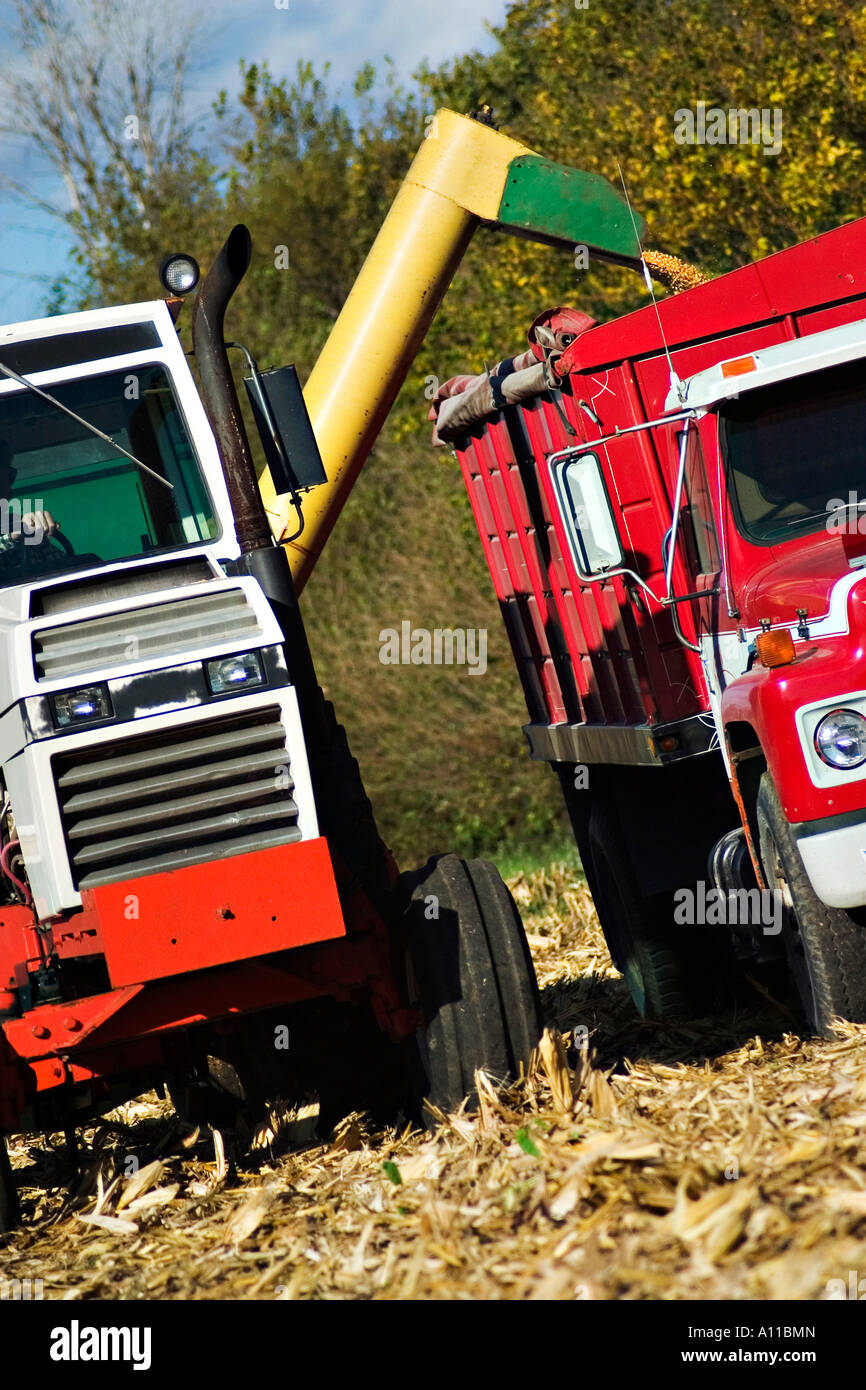 Combine dumping grain Stock Photo - Alamy