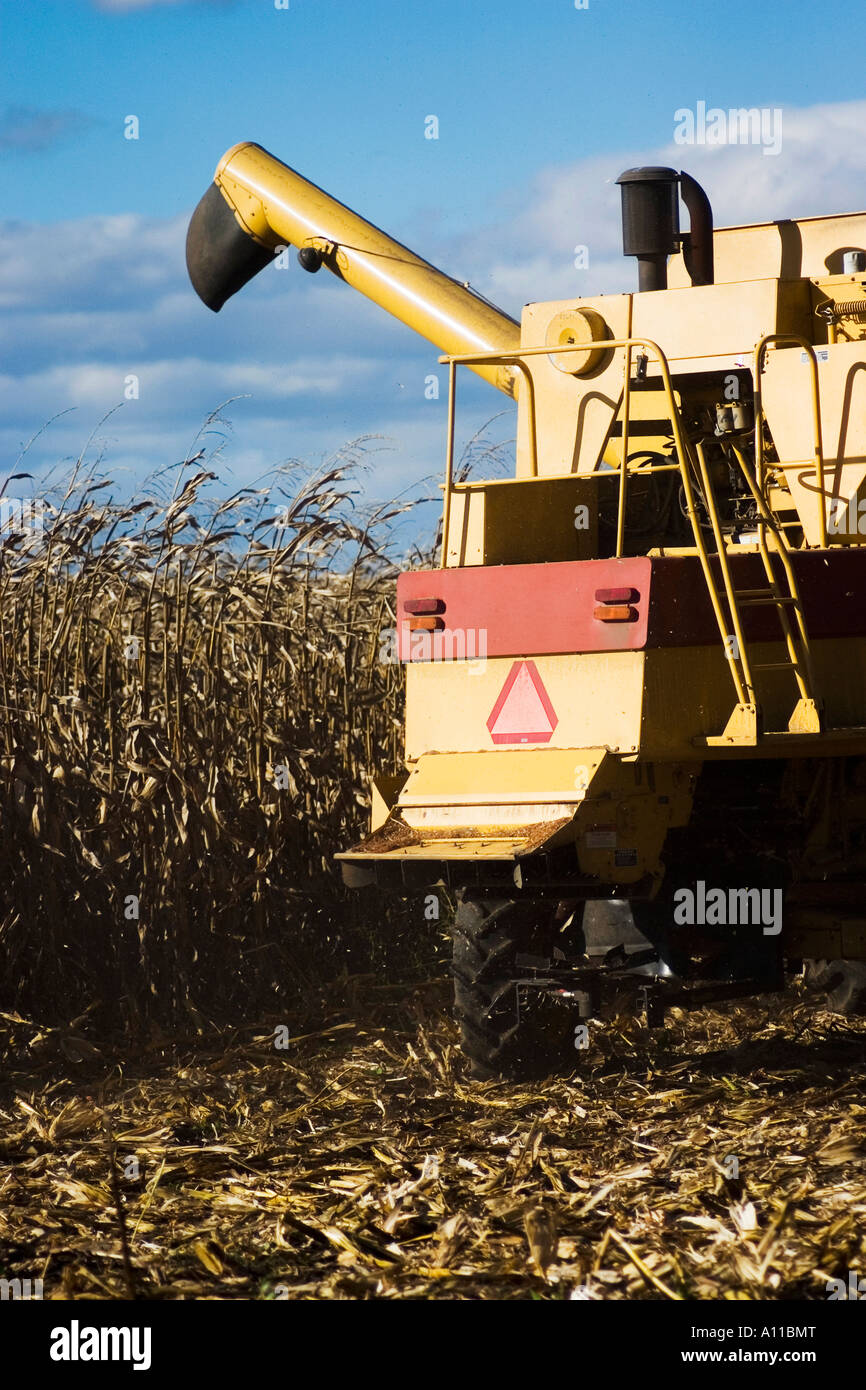 Farmer harvesting corn Stock Photo - Alamy