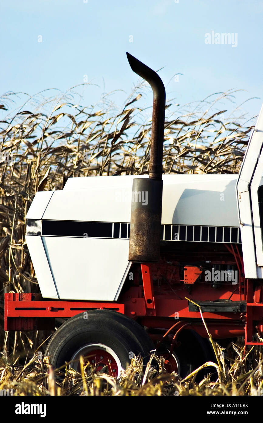 Tractor in corn field Stock Photo - Alamy