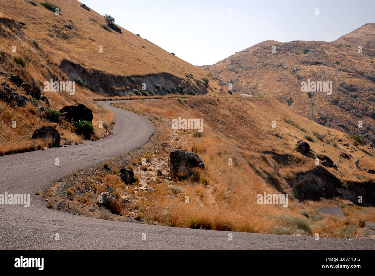 An arid dry season landscape in the Golan Heights, occupied territory ...