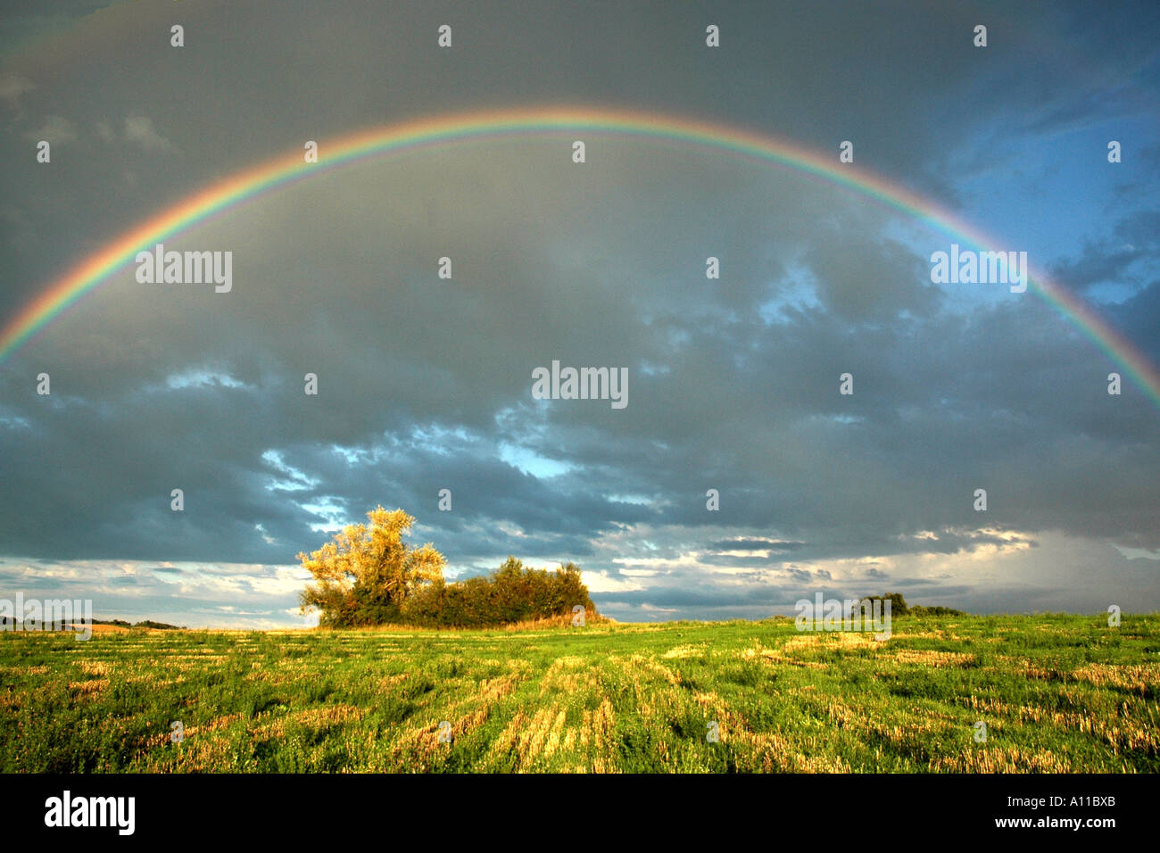 A bright rainbow arches over a French field Stock Photo - Alamy