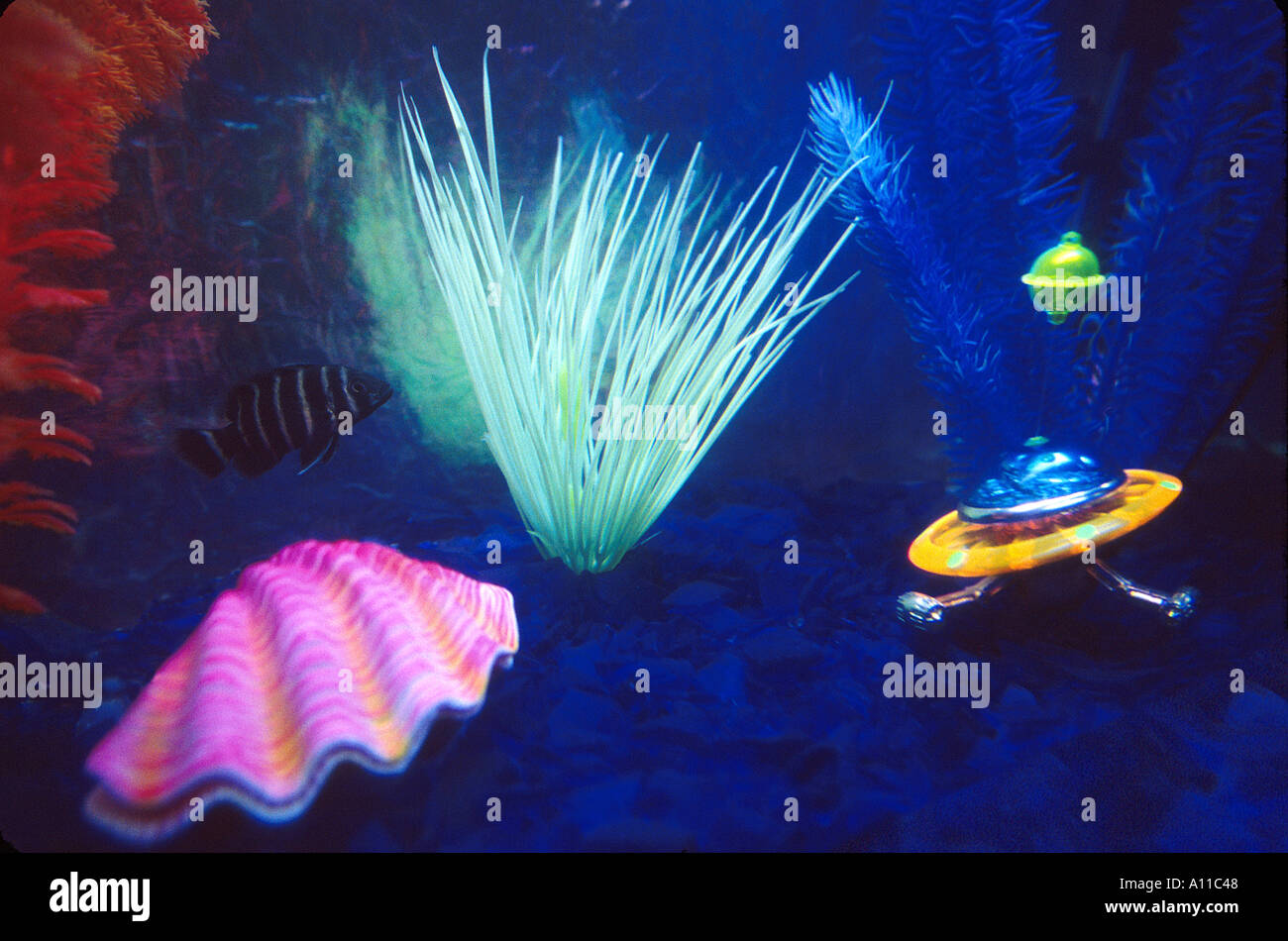 Fake fish tank hi-res stock photography and images - Alamy
