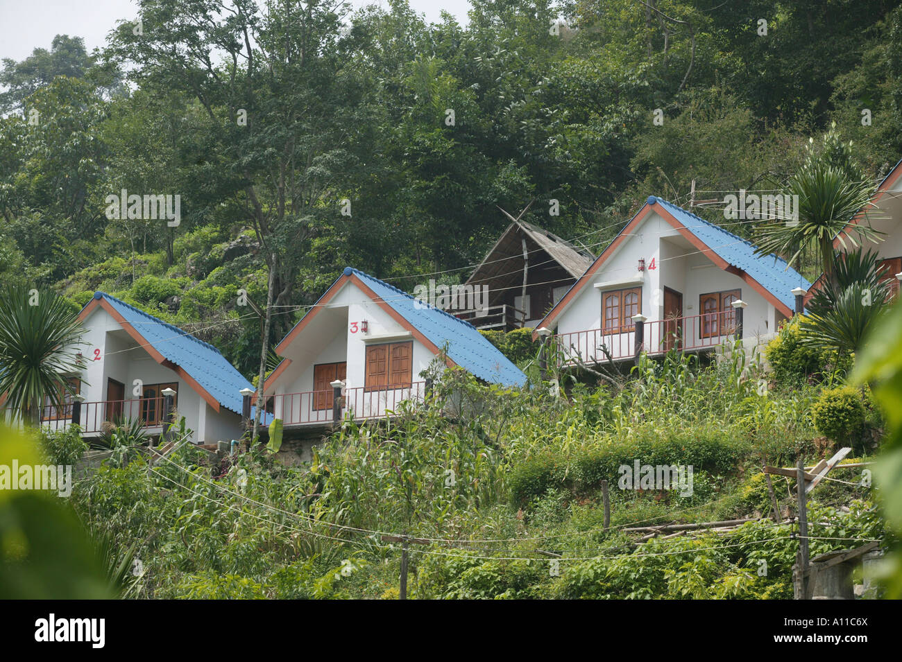 Little white guest houses with blue roofs built into the hills at Doi ...