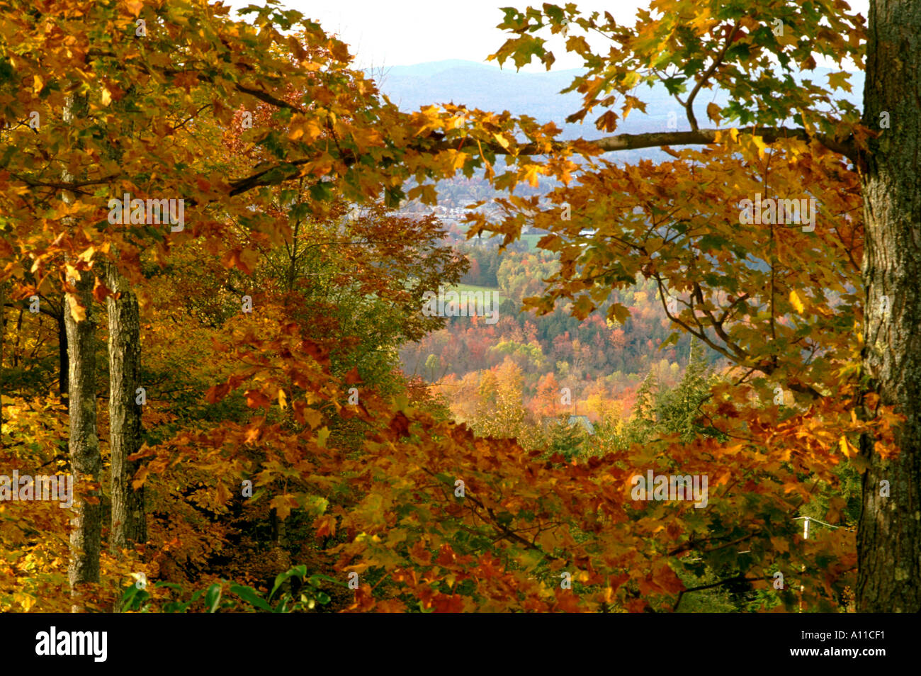 Fall Foliage Window Stock Photo - Alamy