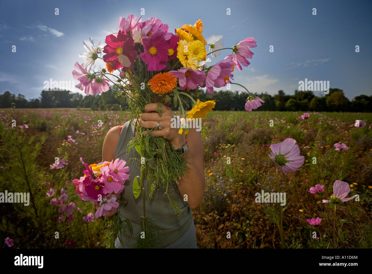 A young Lady hiding herself behind a bunch of wild flowers (France ...