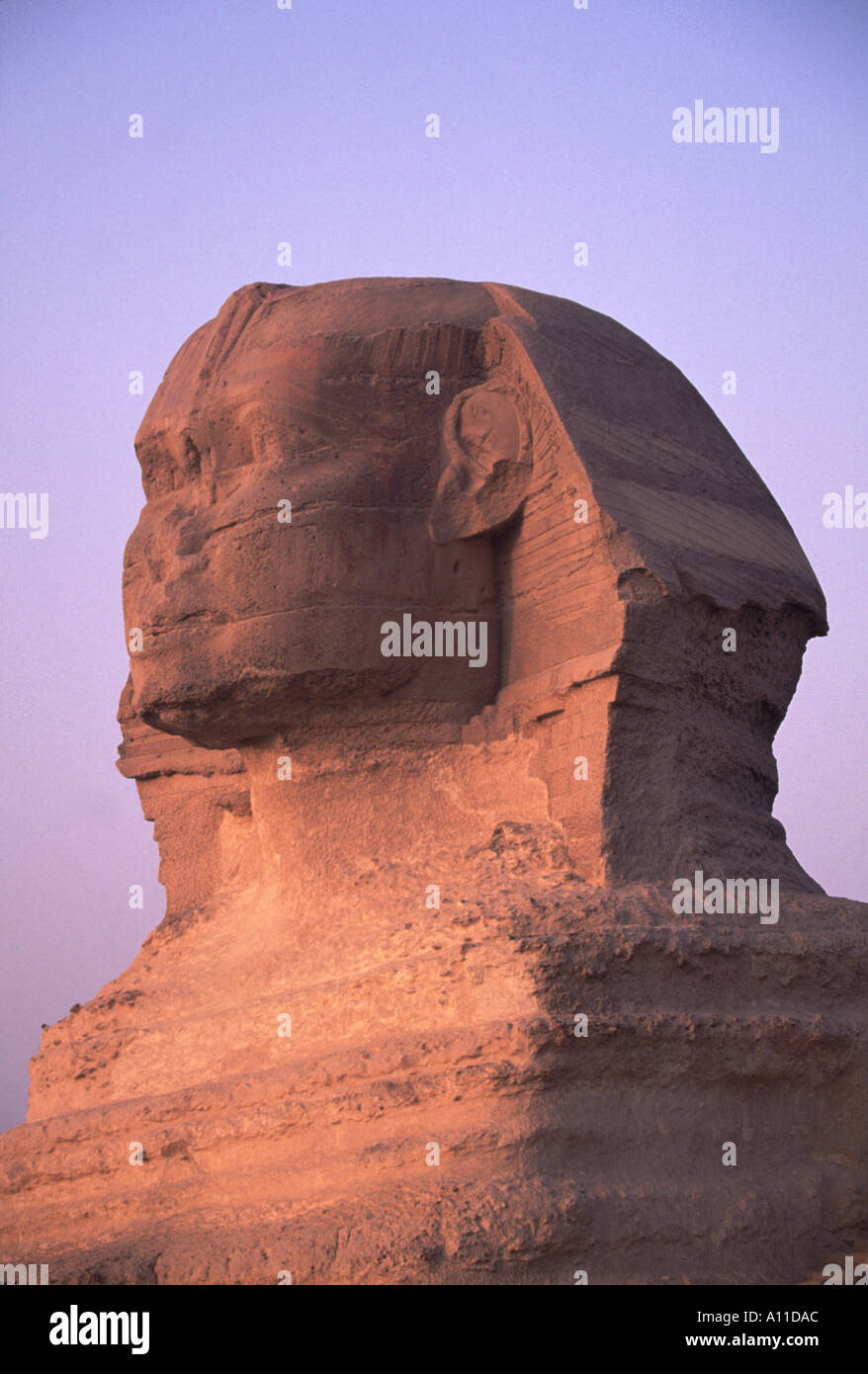 Sphinx Egypt Giza Stock Photo - Alamy