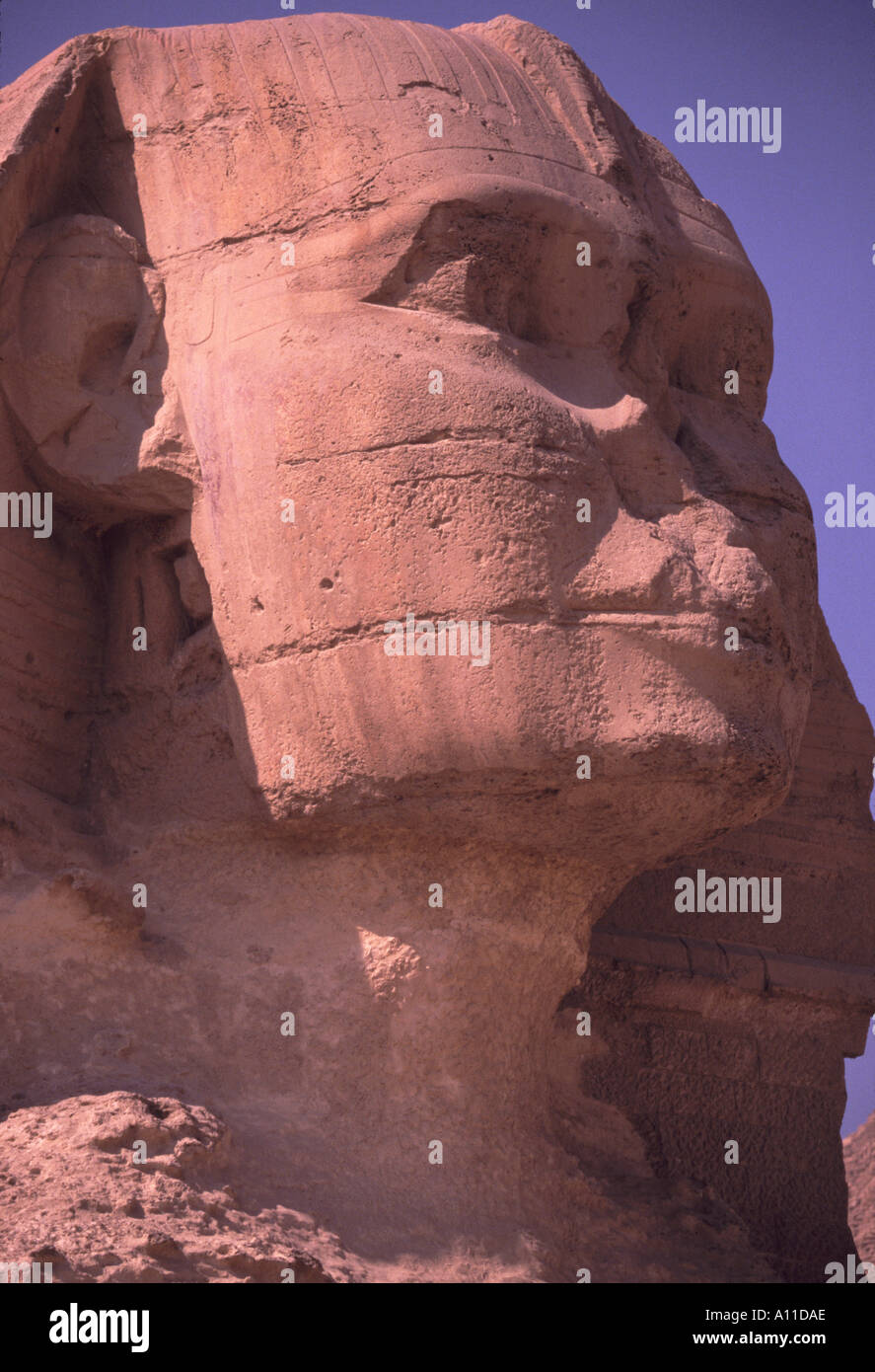 Sphinx Egypt Giza Face Dame to nose and forehead Stock Photo - Alamy
