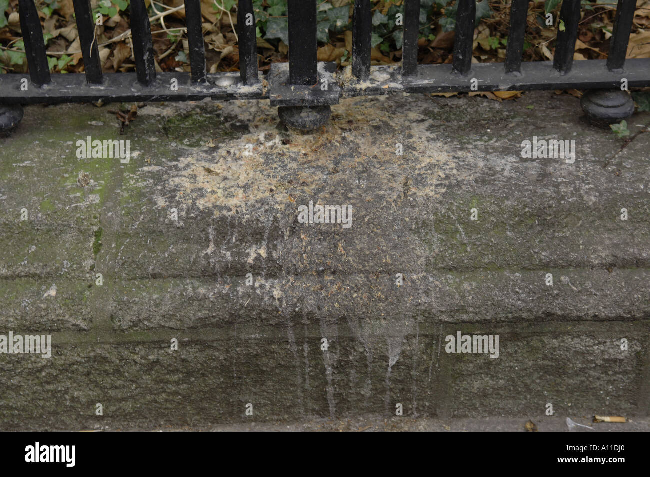 vomit sick sickness puke Stock Photo - Alamy