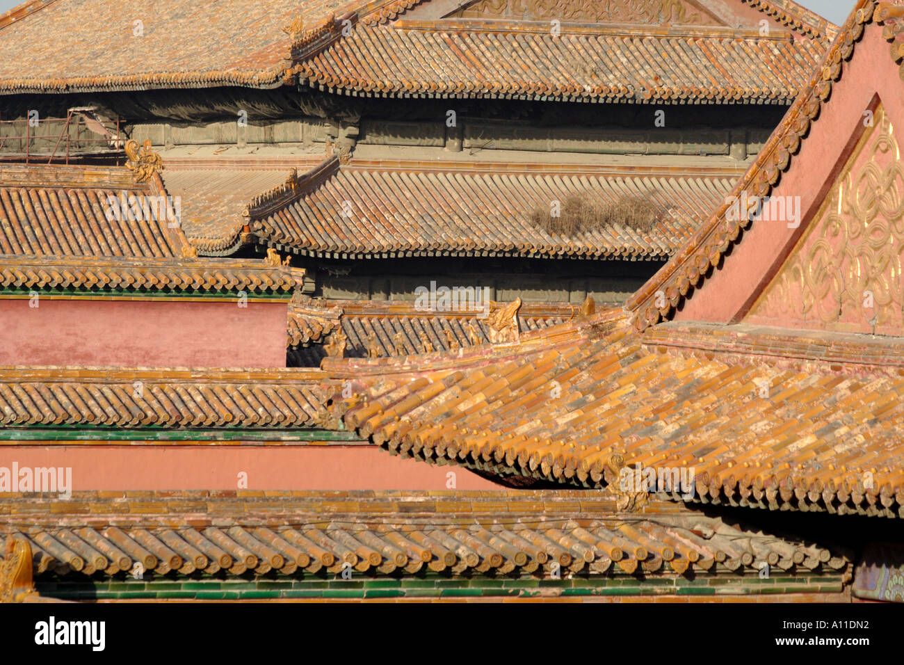 Rooftops inside of the Forbidden City, Beijing, China Stock Photo - Alamy