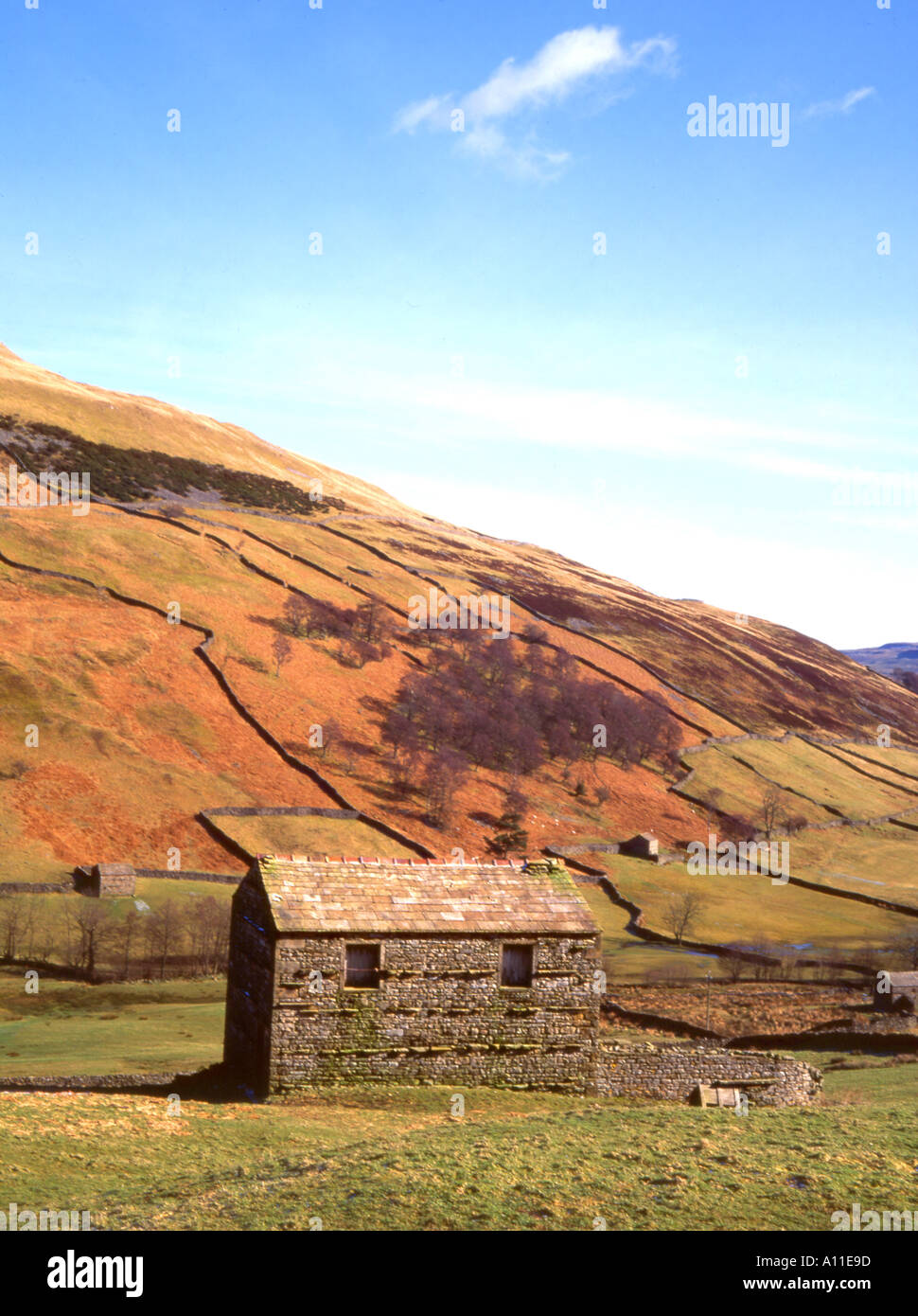 single barn swaledale yorkshire Stock Photo - Alamy
