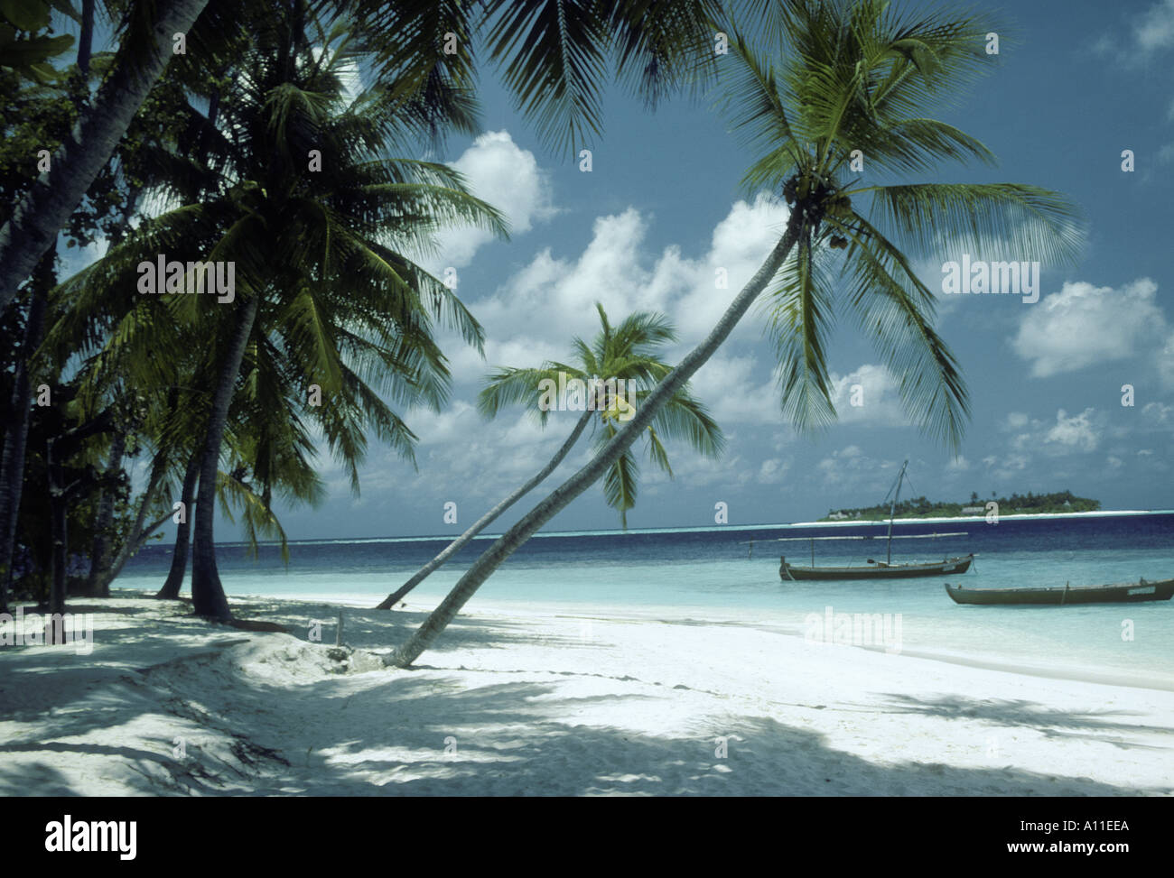 Maldive Islands Cocoa Stock Photo - Alamy