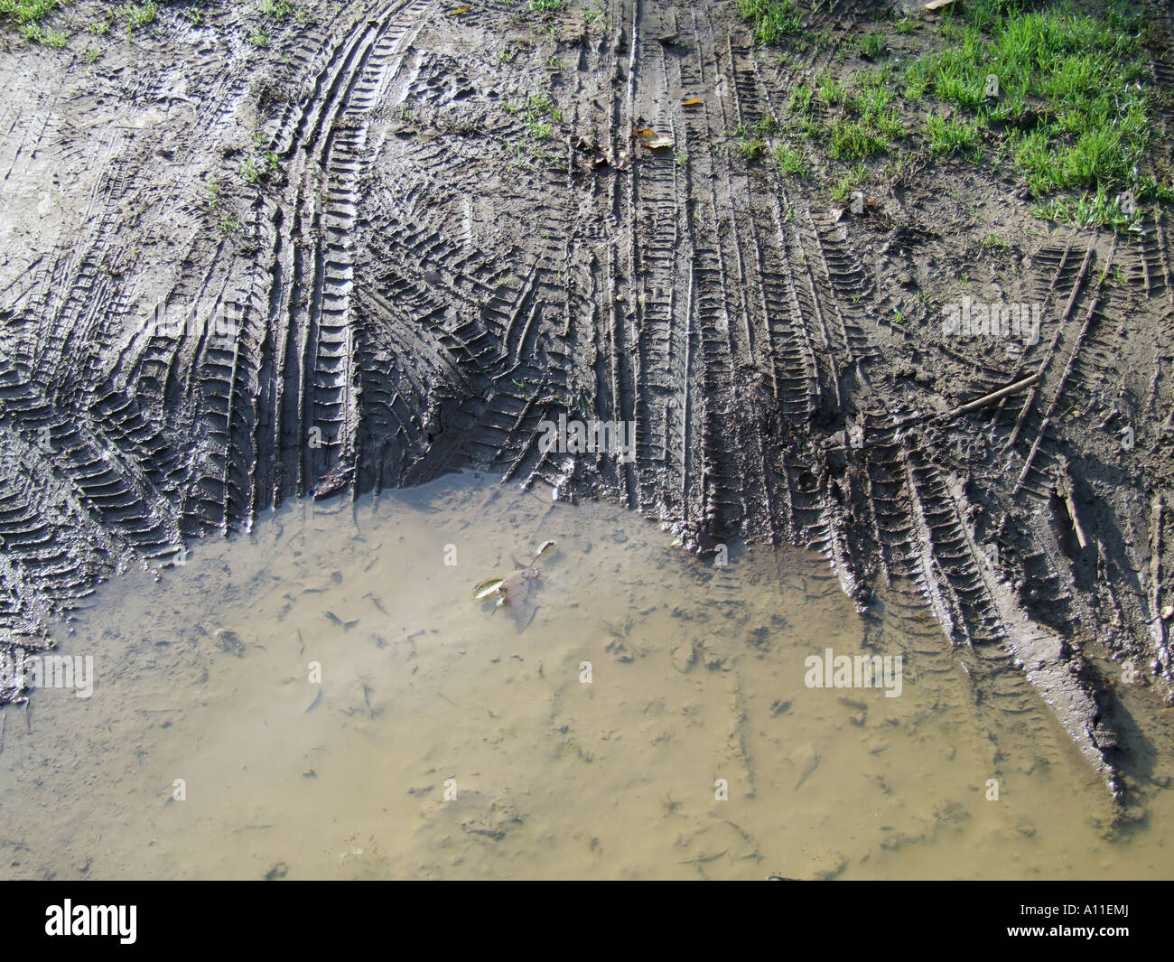 off road driving tyre tracks in mud Stock Photo - Alamy