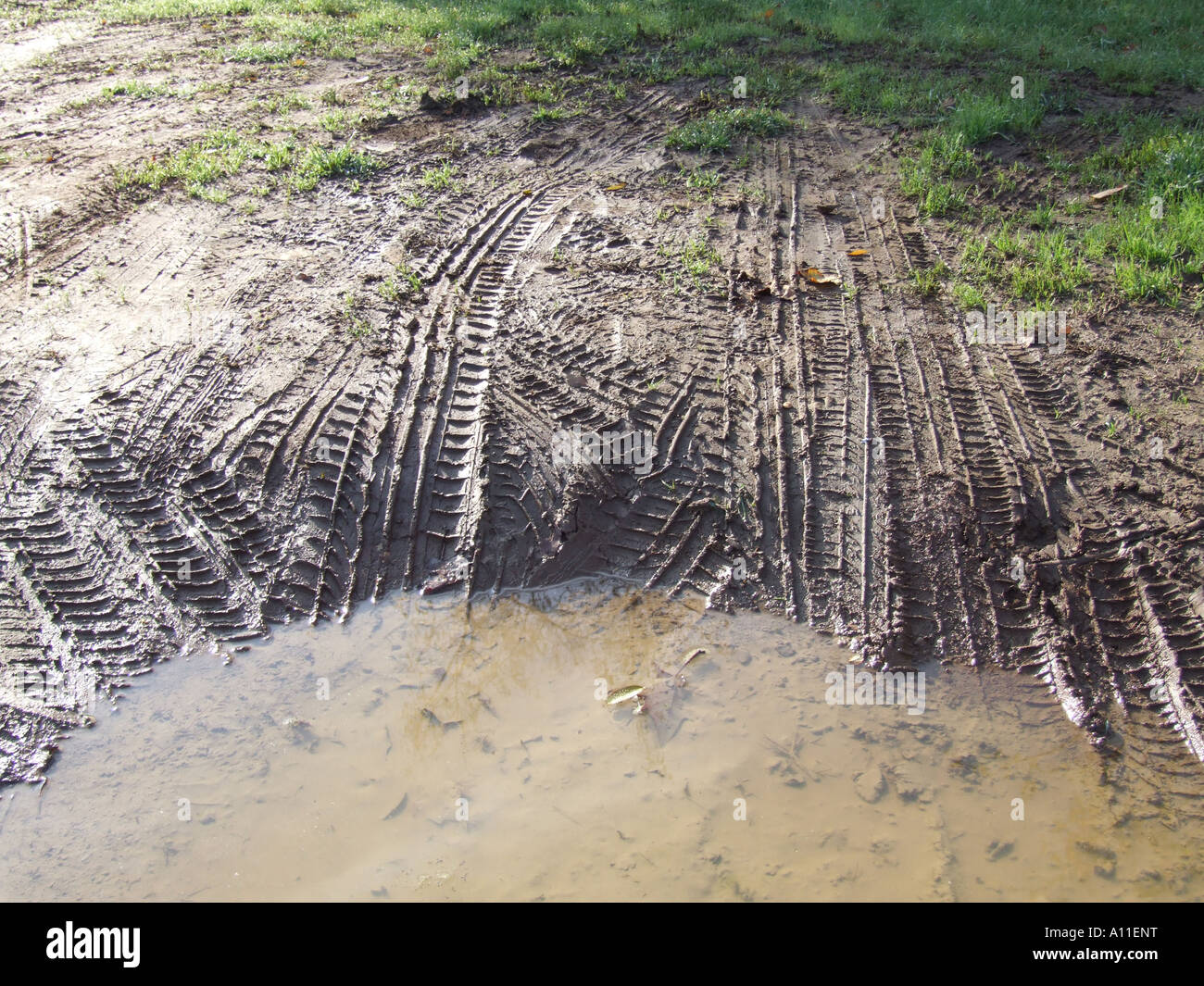 off road driving tyre tracks in mud Stock Photo - Alamy