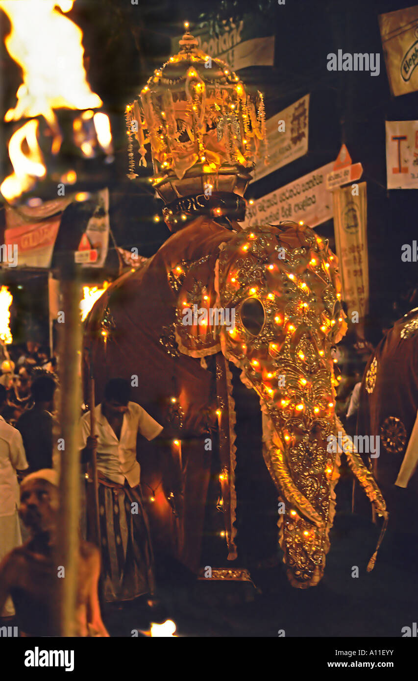 Night procession at the Esala Perahera in Kandy (Sri Lanka). Défilé ...