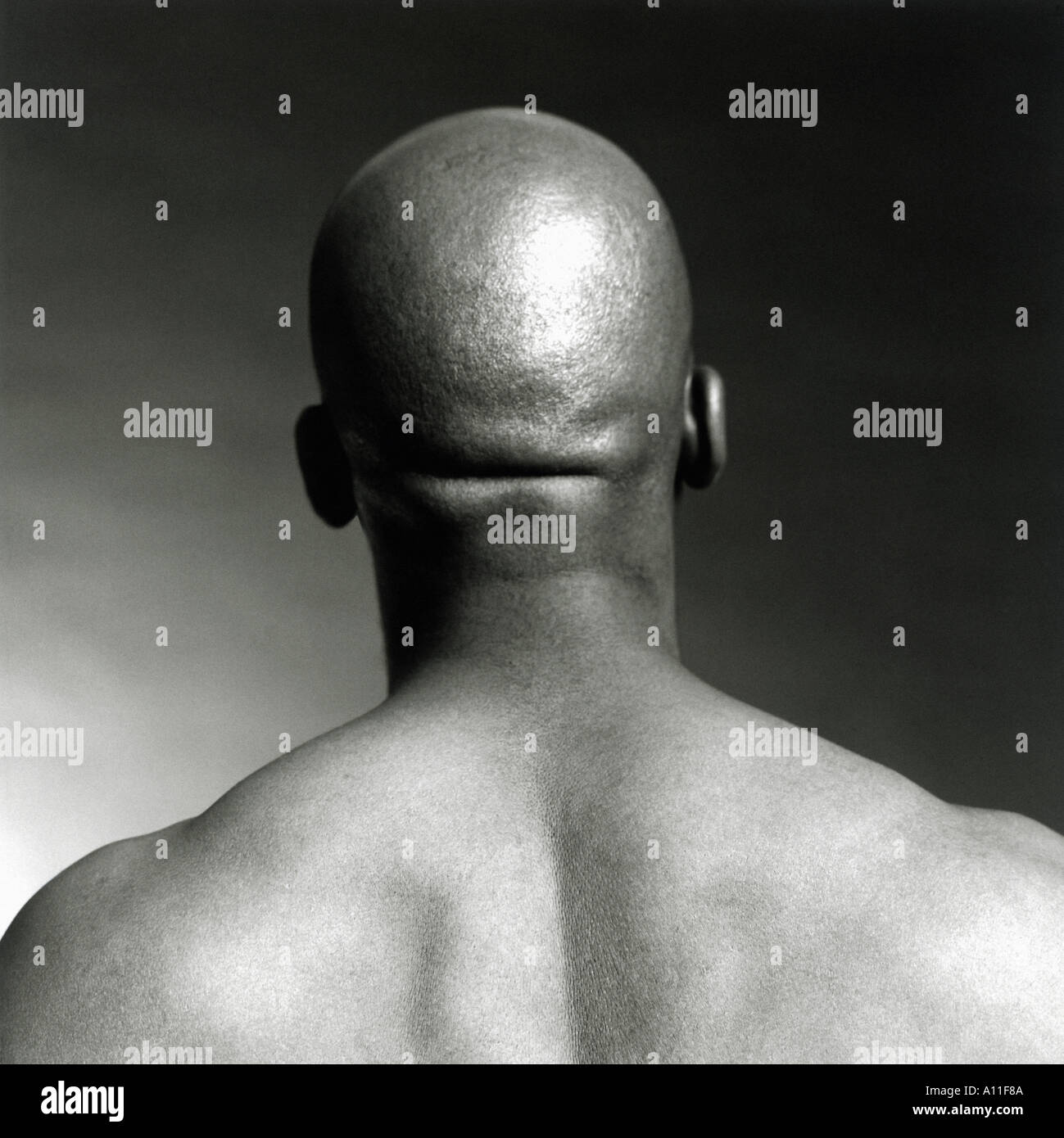 Back view bald black hi-res stock photography and images - Alamy
