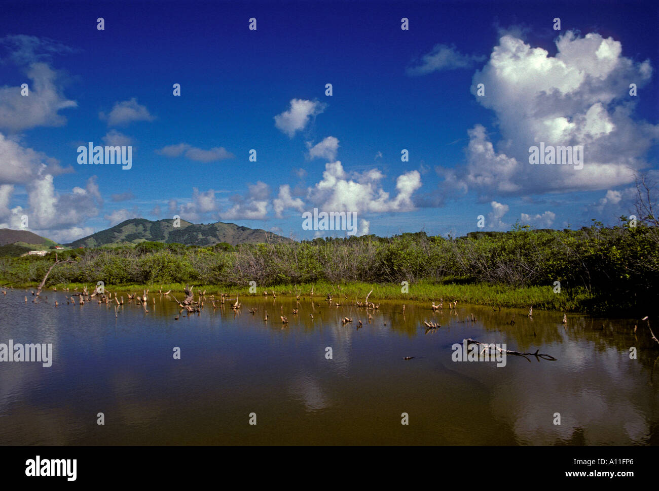 France guadeloupe island saint martin hi-res stock photography and ...