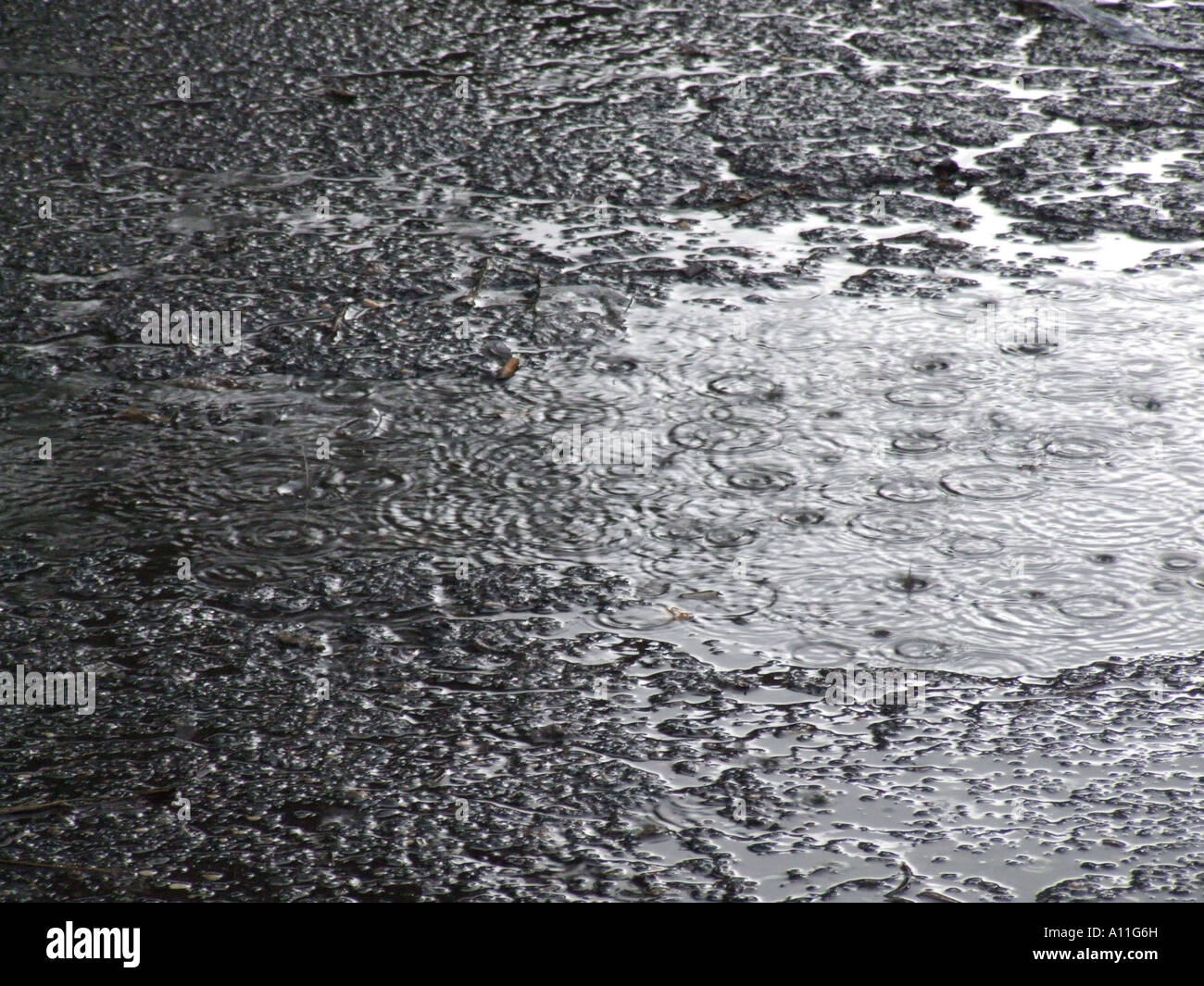 raindrops splashing into pool of water on street Stock Photo - Alamy