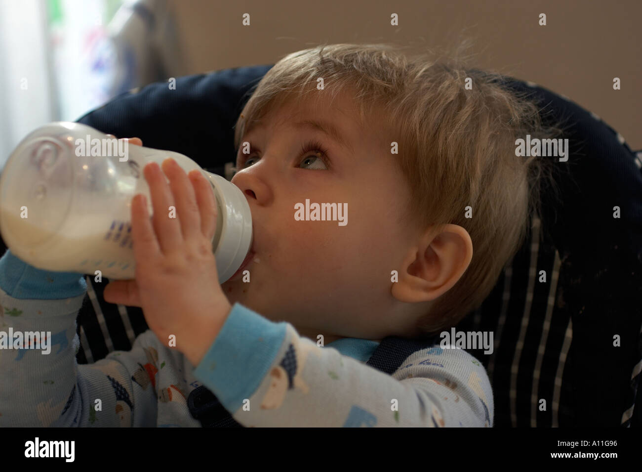Happy toddler drinks from bottle in high chair Model released and ...