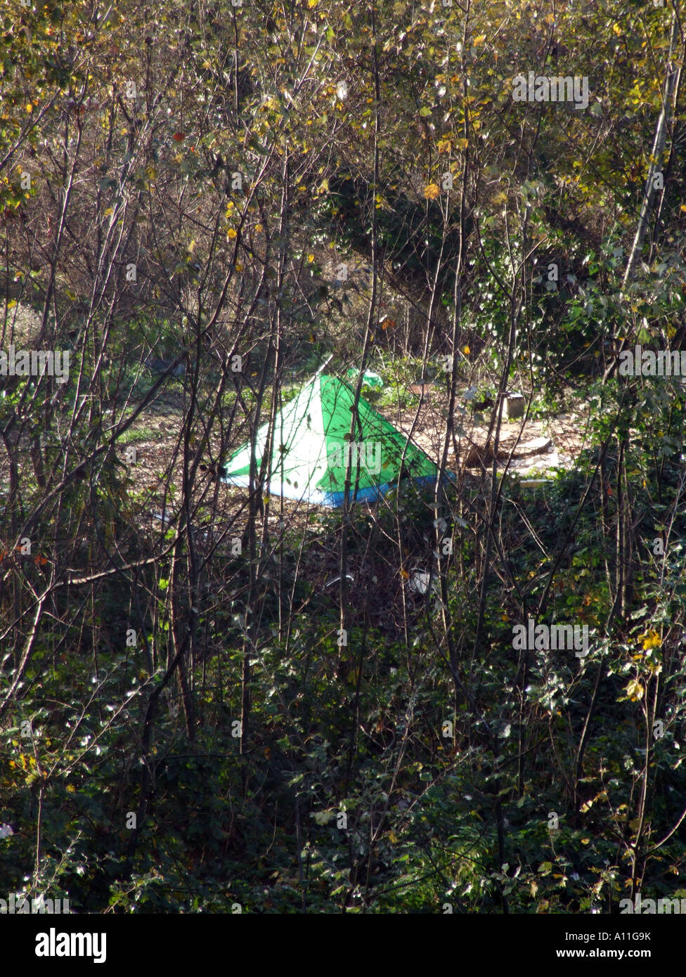 green tent camping in wilderness Stock Photo - Alamy