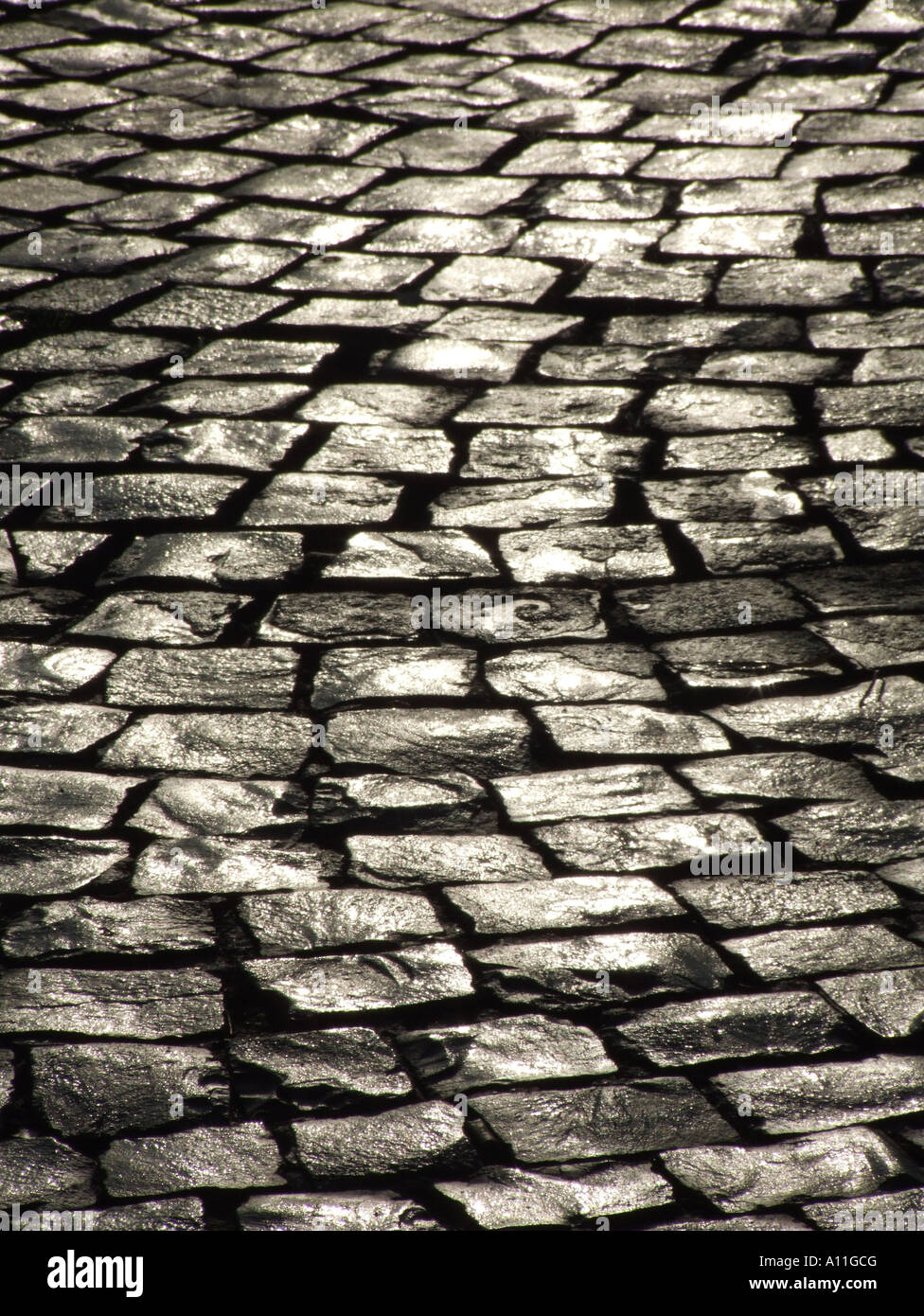 backlit cobbles on street Stock Photo - Alamy