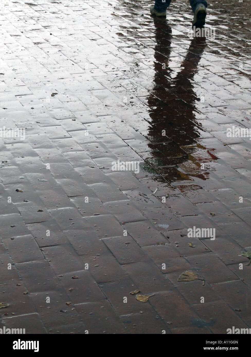 person walking reflected on wet pavement Stock Photo - Alamy