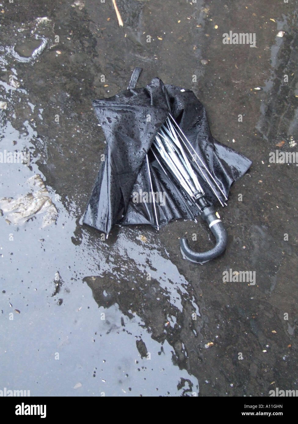 broken umbrella on wet pavement Stock Photo - Alamy