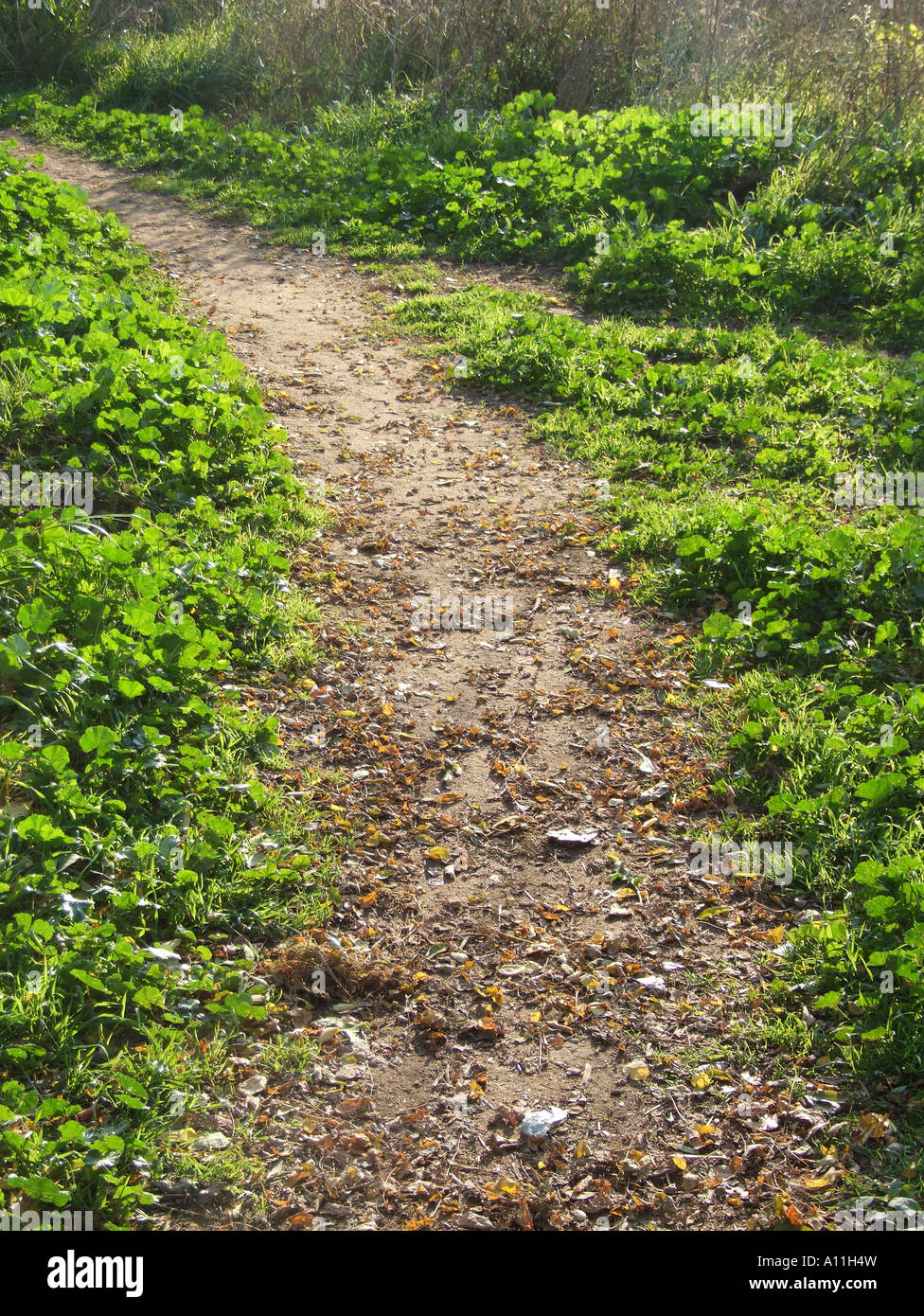 footpath in countryside Stock Photo - Alamy