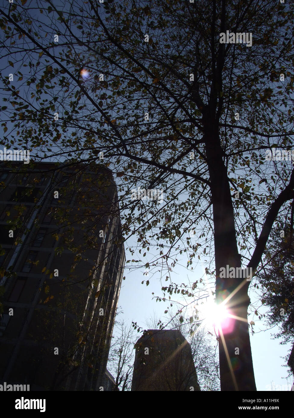 high rise building in morning sun Stock Photo - Alamy