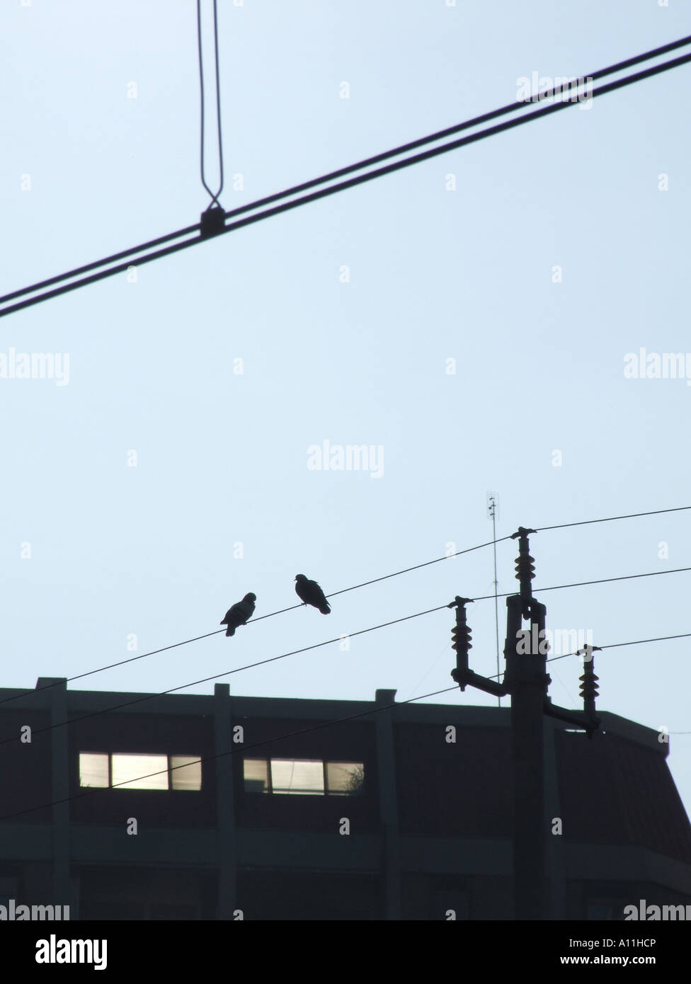 two birds on train power lines Stock Photo - Alamy
