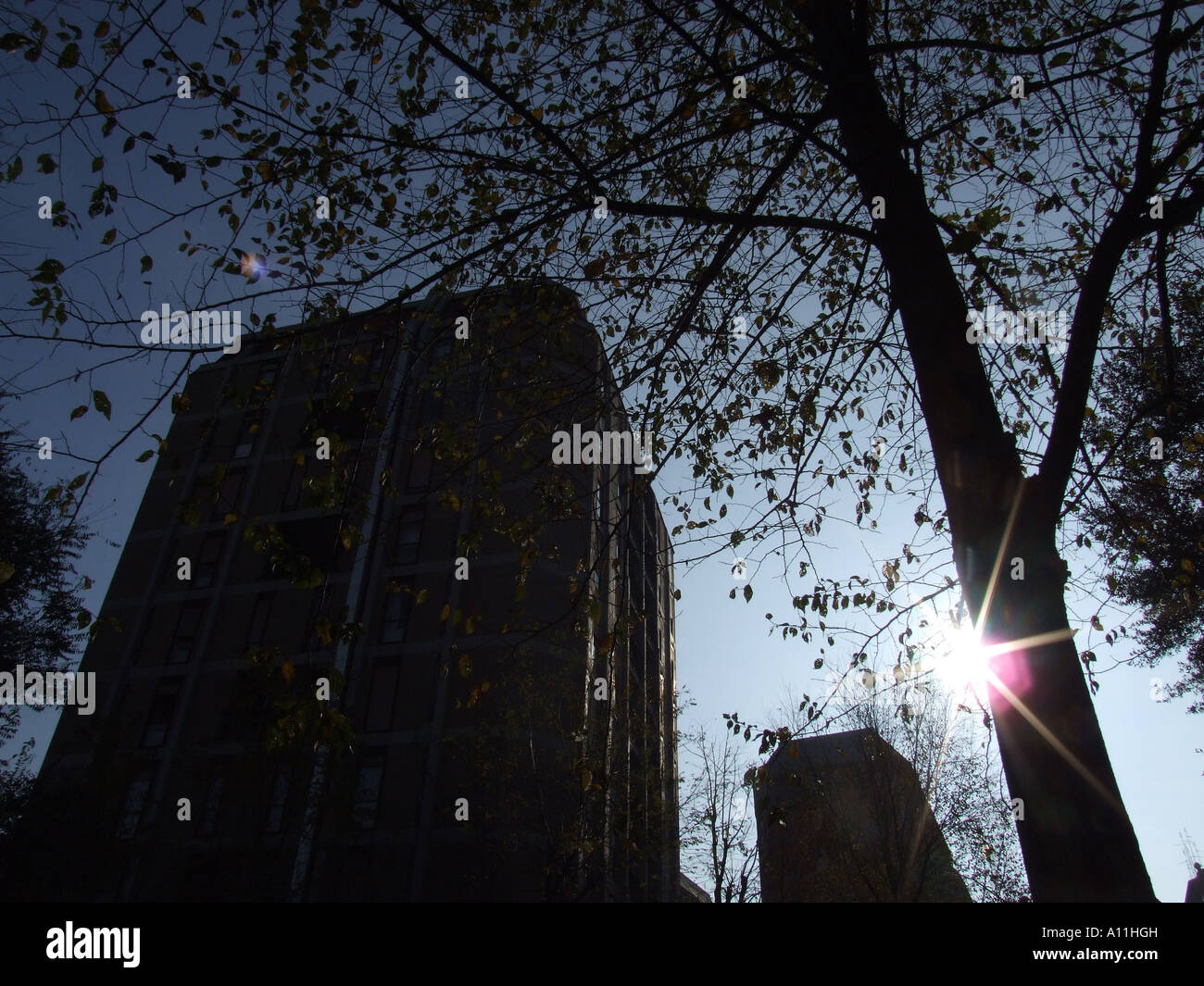 high rise buildings in morning sun Stock Photo - Alamy
