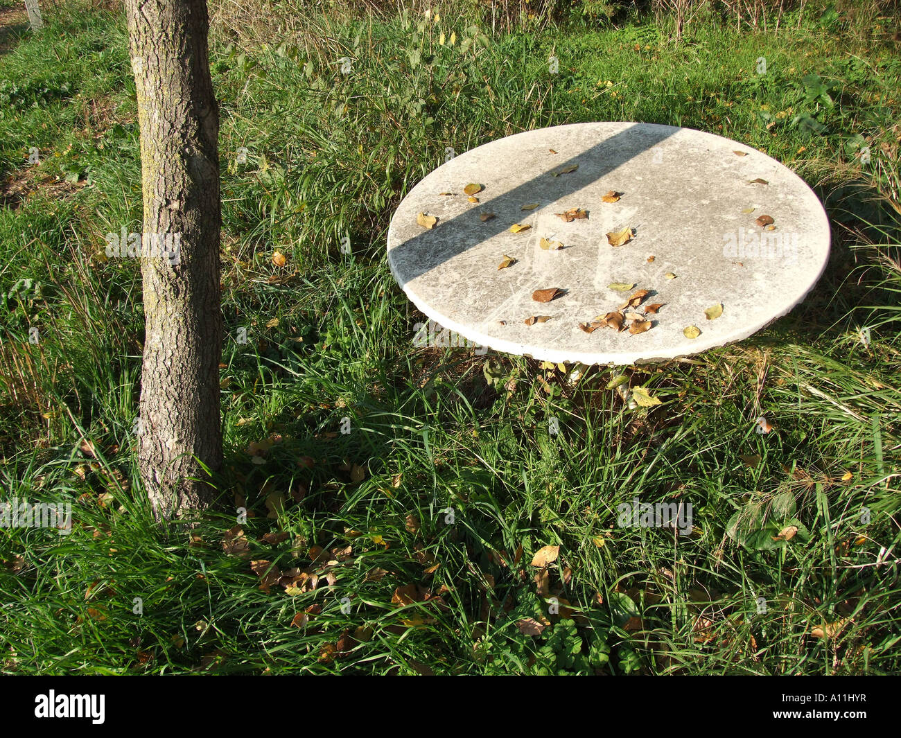 one table in field Stock Photo - Alamy